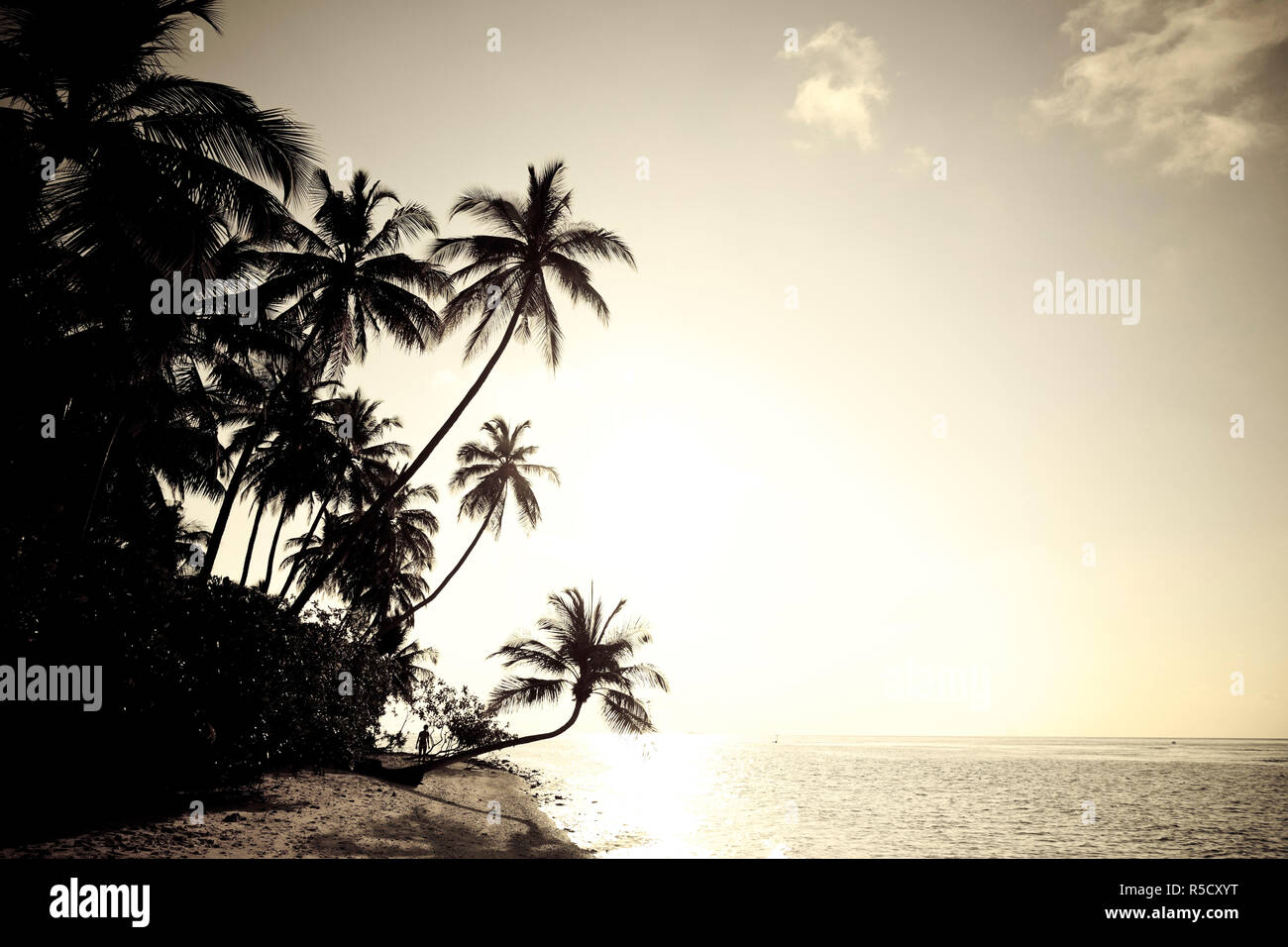 Maldives, Faafu Atoll, Filitheyo Island Stock Photo - Alamy