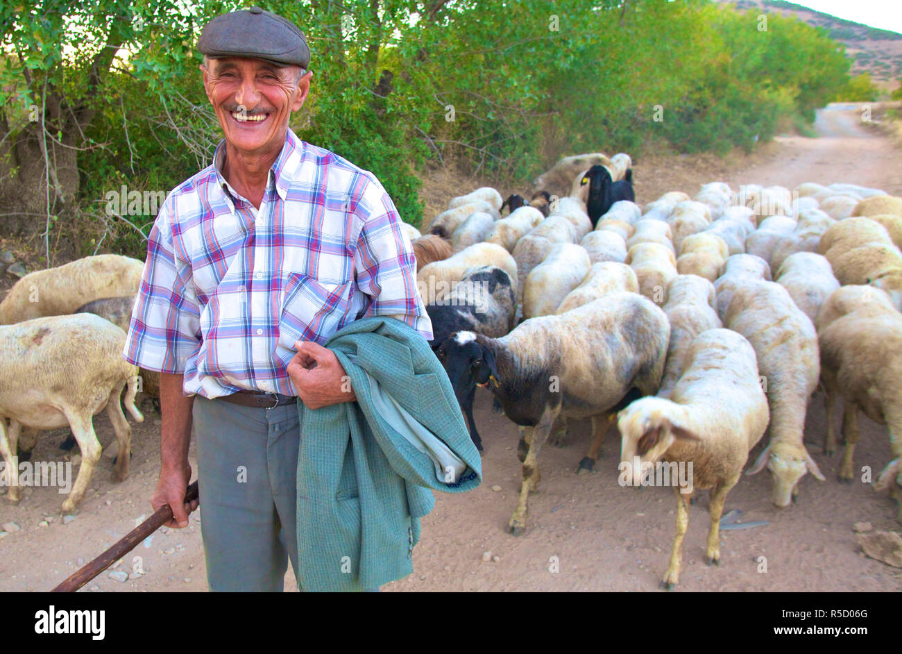 Goatherder with Goatherd, Turkey Stock Photo - Alamy