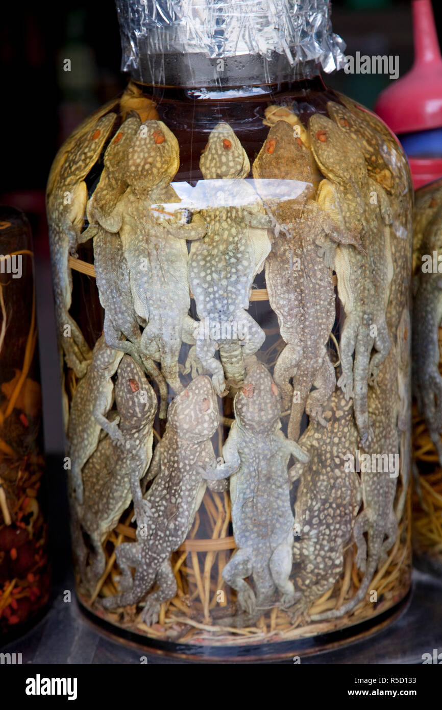 Vietnam, Hue, Preserved Frogs in Traditional Medicine Shop Stock Photo ...