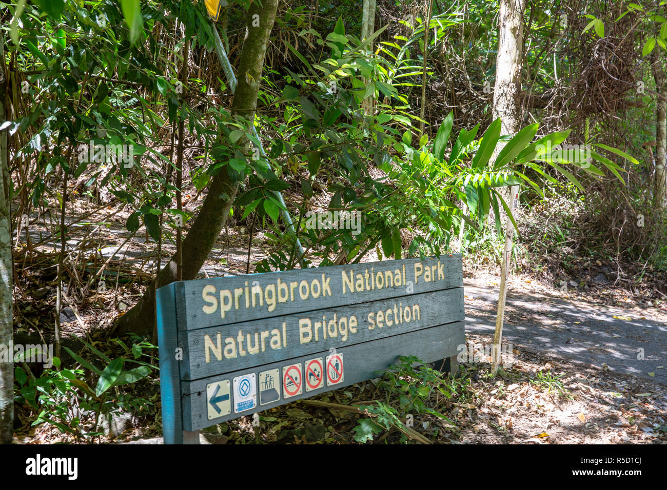 Springbrook national park and Natural Bridge in Gold Coast,Queensland ...