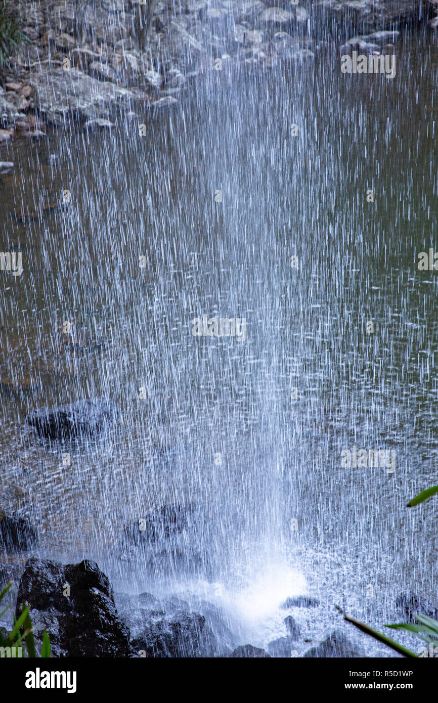 Twin Falls walking hiking circuit in Springbrook national park,Gold ...