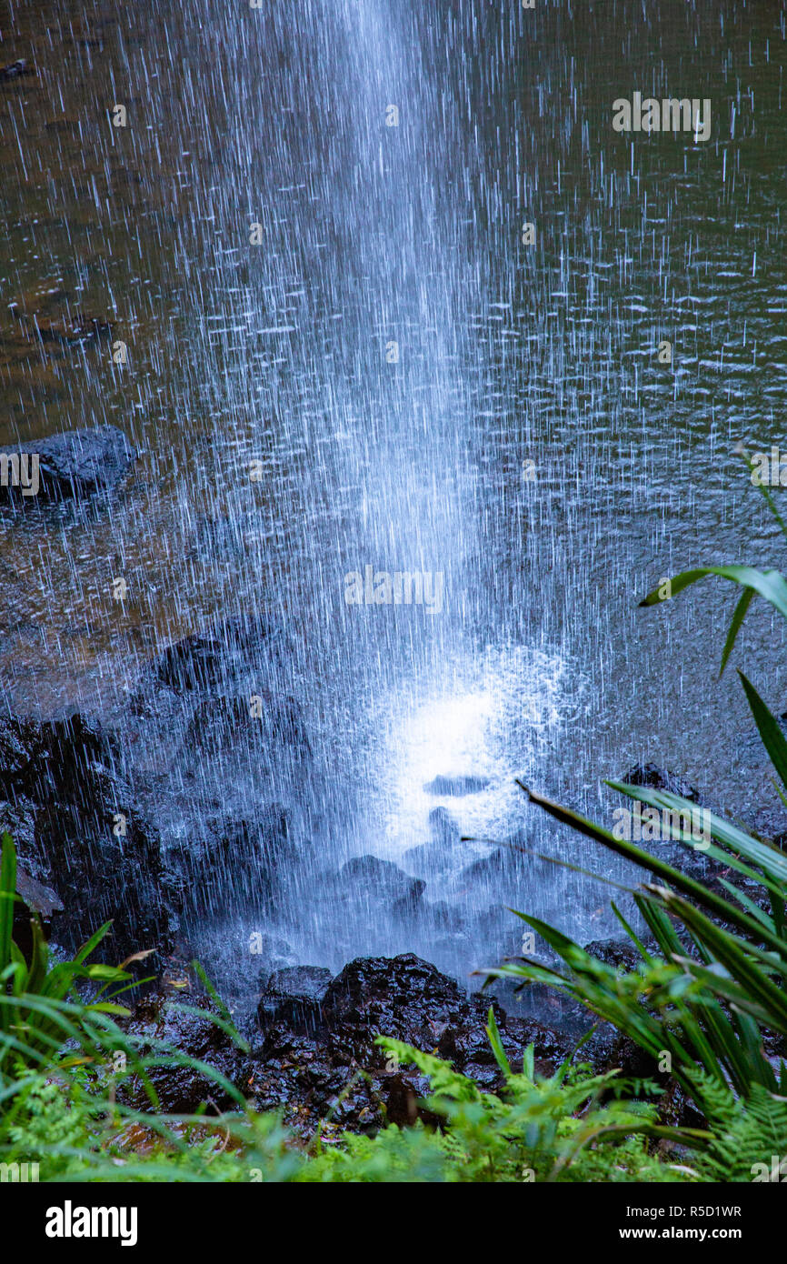 Twin Falls walking hiking circuit in Springbrook national park,Gold ...