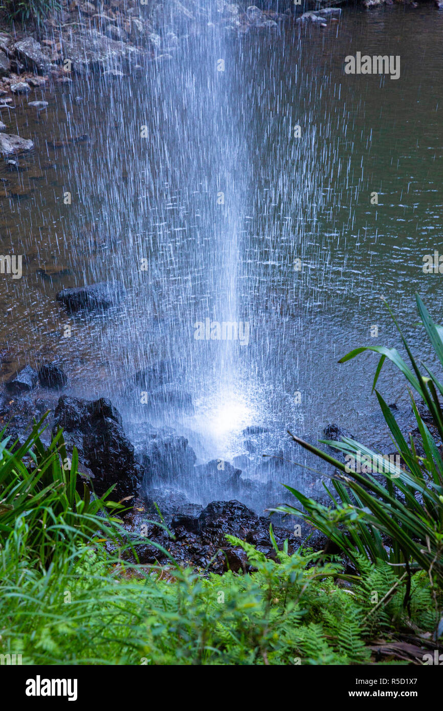 Twin Falls walking hiking circuit in Springbrook national park,Gold ...