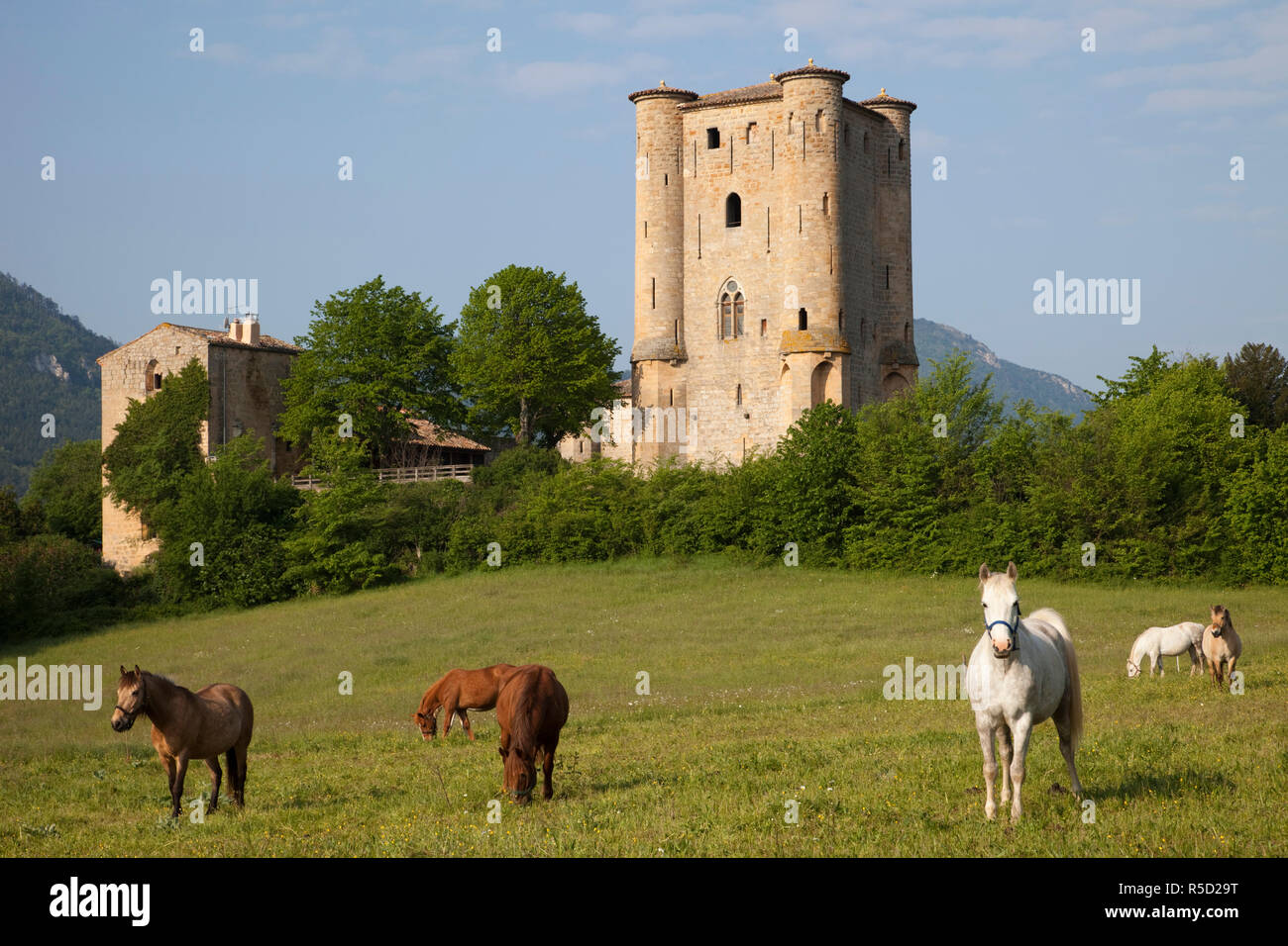 Arques castle hi-res stock photography and images - Alamy