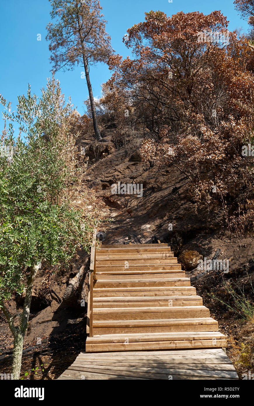 Path with stairs hi-res stock photography and images - Alamy