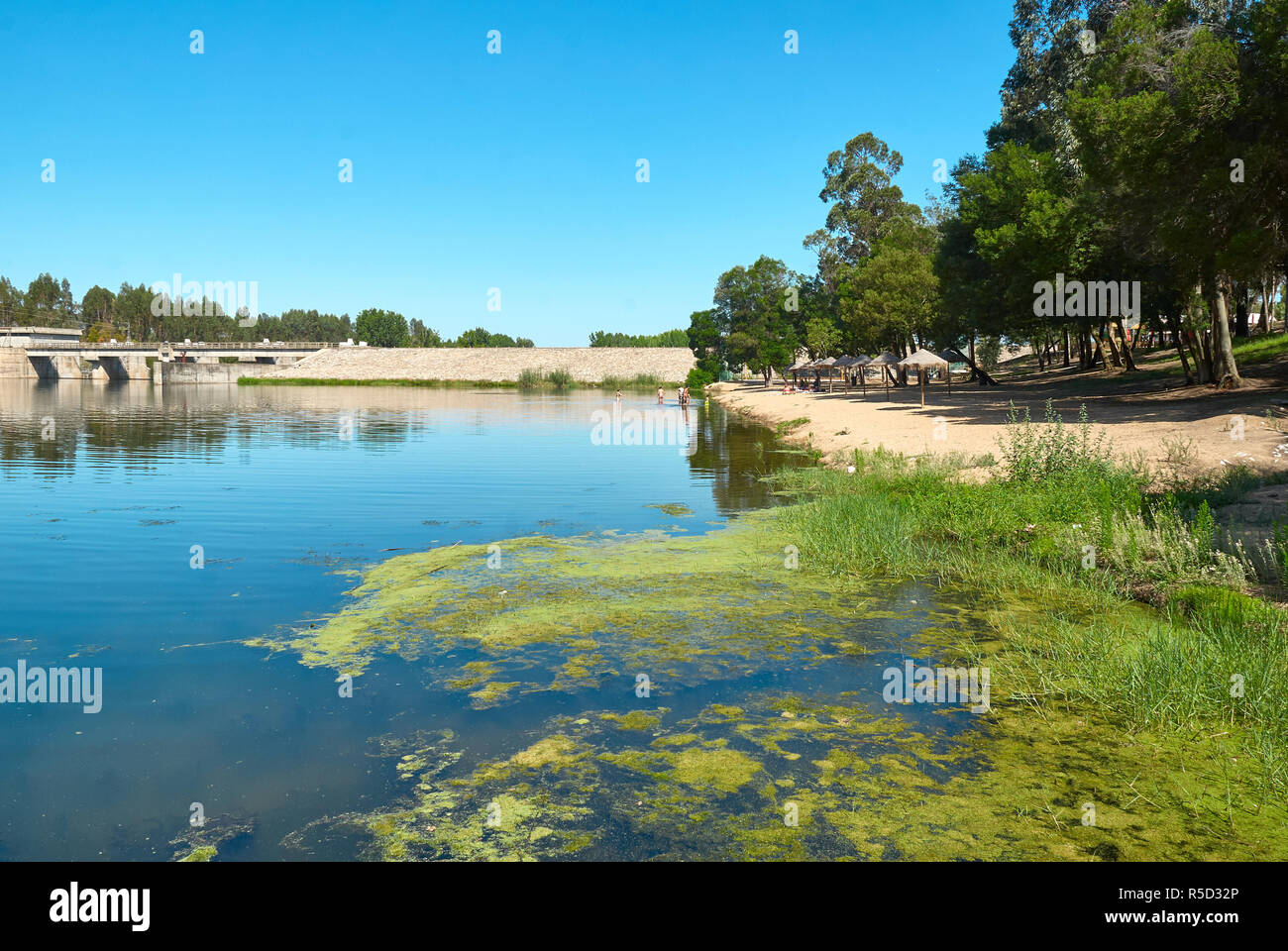 placid water lagoon Stock Photo - Alamy