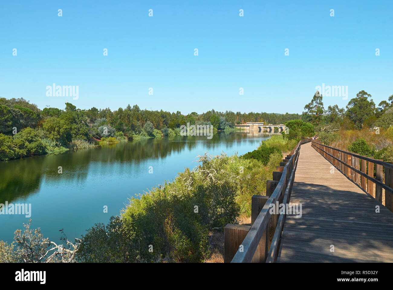 placid water lagoon Stock Photo - Alamy