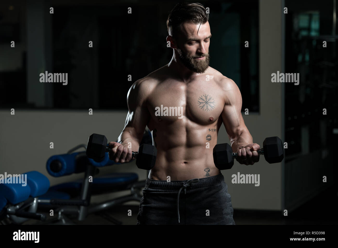 Athlete Working Out Biceps In A Gym - Dumbbell Concentration Curls ...