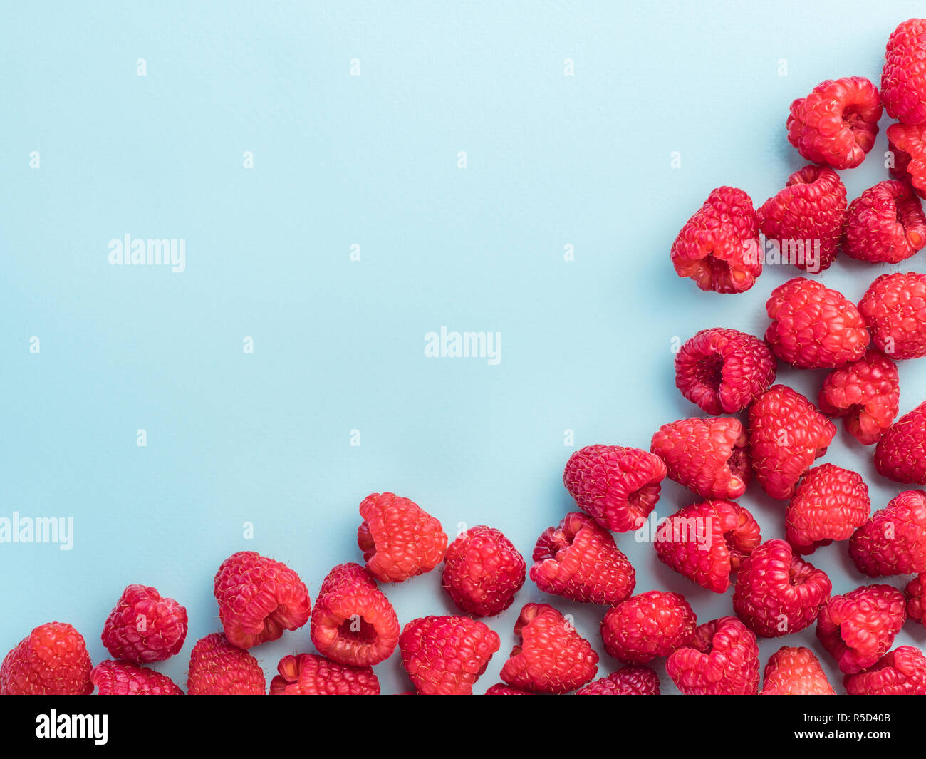 Raspberry on blue background with copy space Stock Photo - Alamy