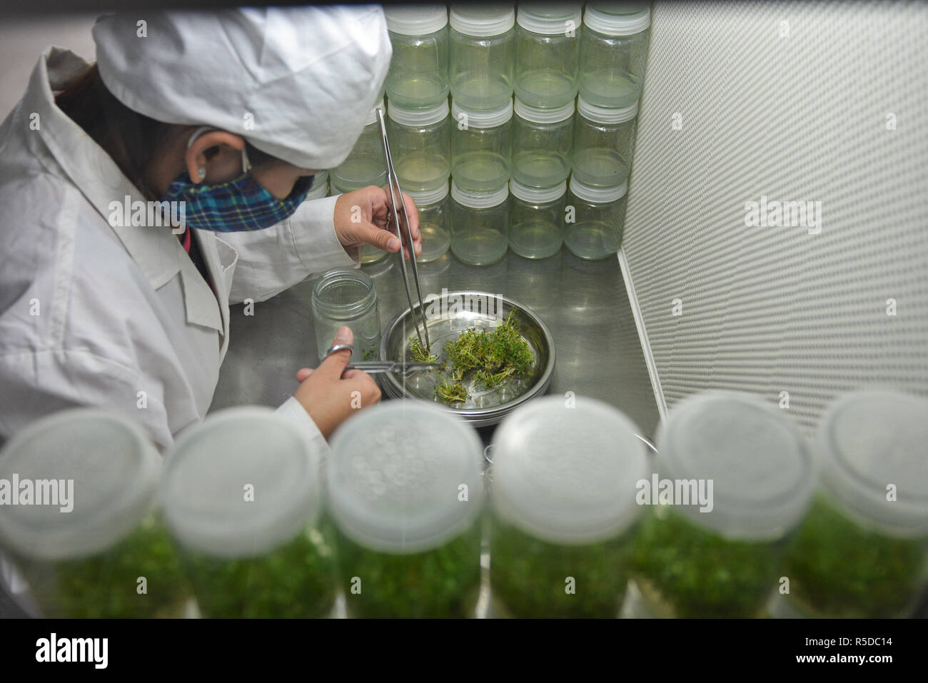 Xepon, laos hi-res stock photography and images - Alamy