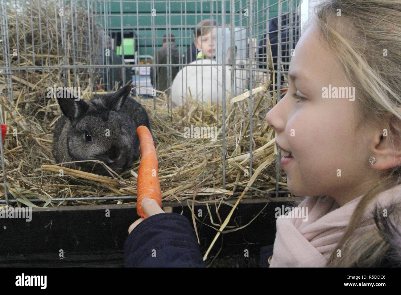 Germany. 01 December 2018, Brandenburg, Paaren/Glien: Leonie (8) from ...