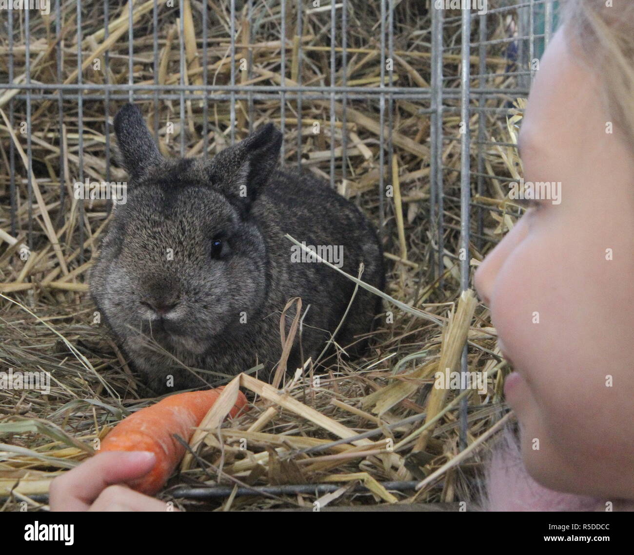 8 01 02 hi-res stock photography and images - Alamy