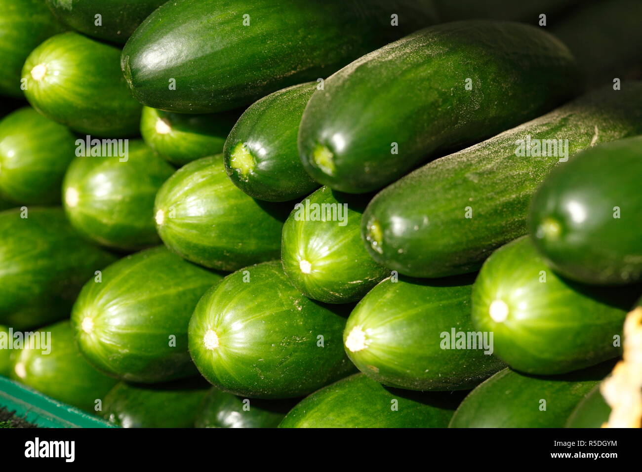 fresh green mini cucumbers on a market stall Stock Photo - Alamy