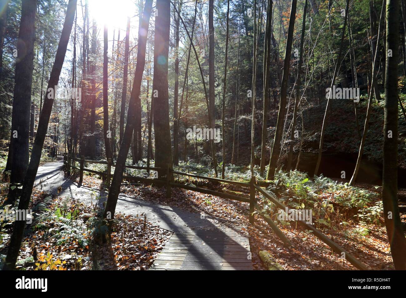 Pathway into the wilderness Stock Photo - Alamy