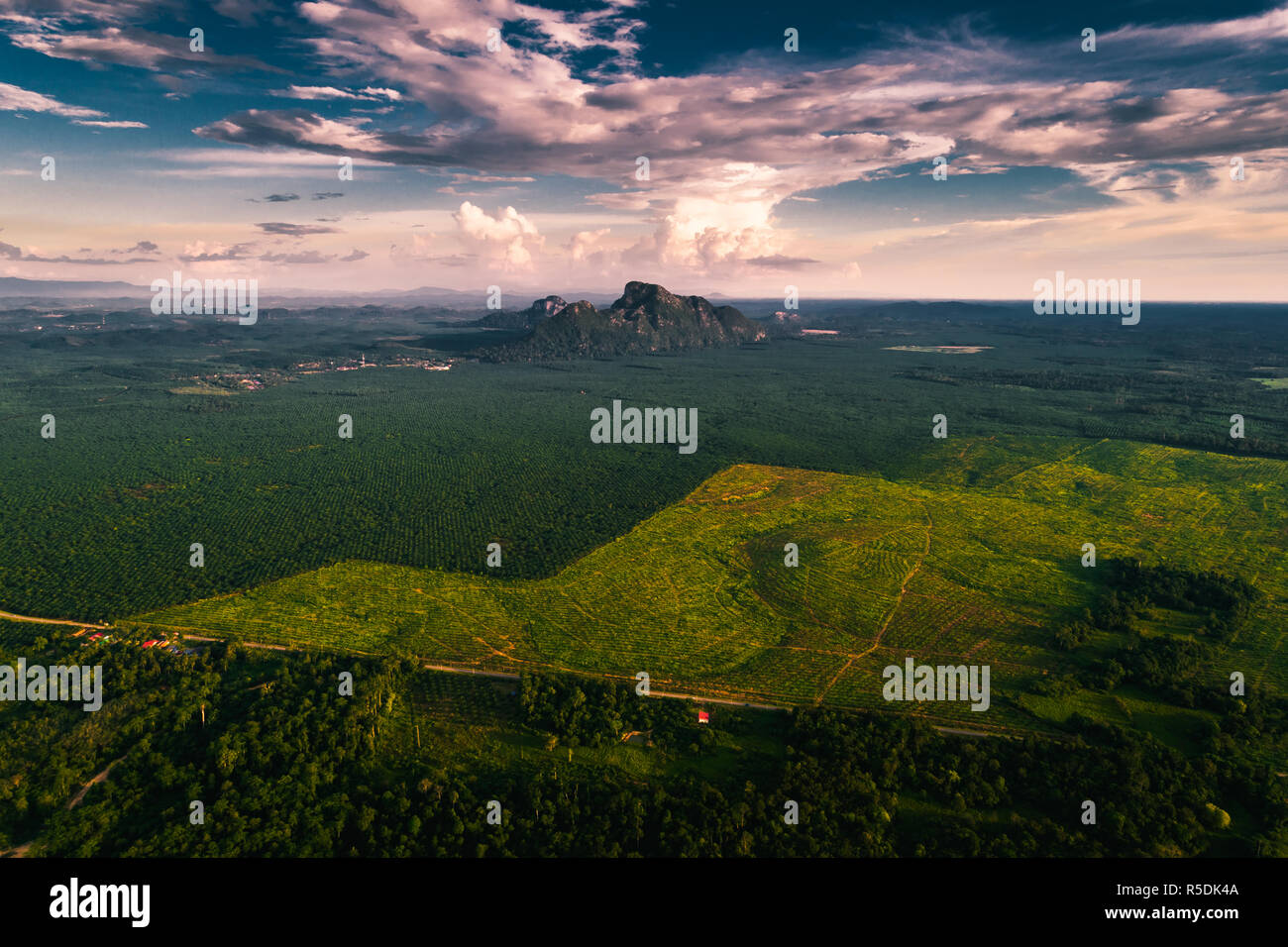 Aerial view of vast agriculture land Stock Photo - Alamy
