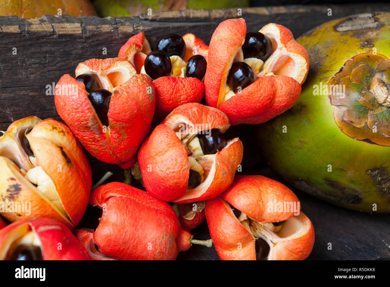 Ackee fruit hi-res stock photography and images - Alamy