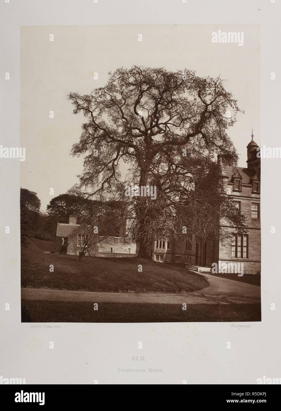 Hs timber hi-res stock photography and images - Alamy