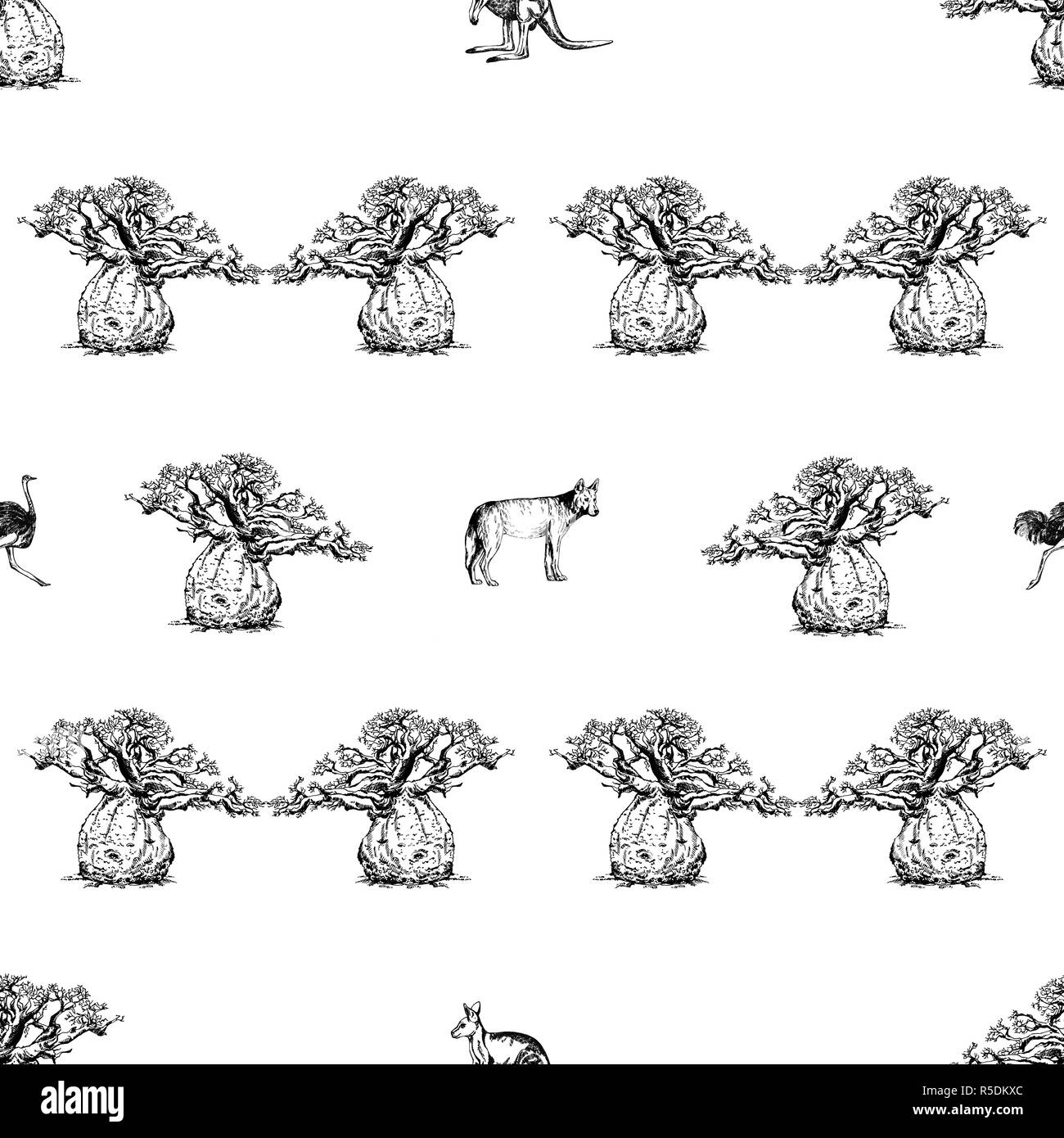 Dingo Dogs High Resolution Stock Photography and Images - Alamy