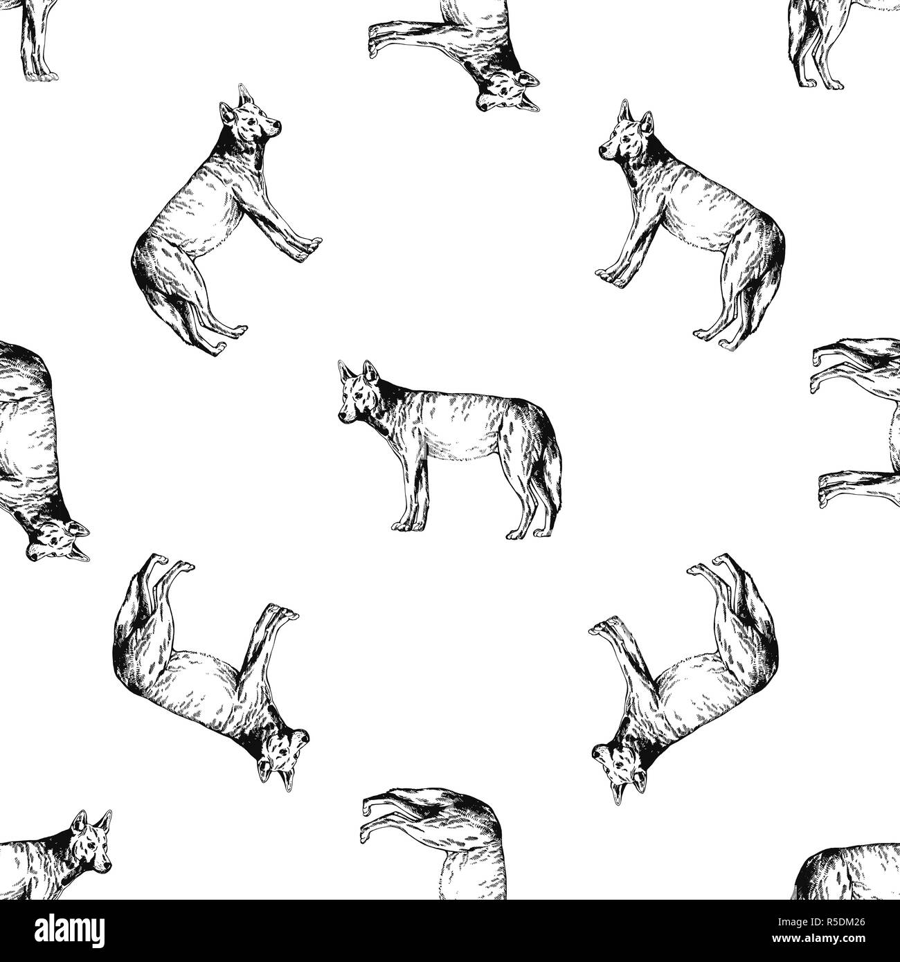 Seamless pattern of hand drawn sketch style dingo dogs isolated on ...