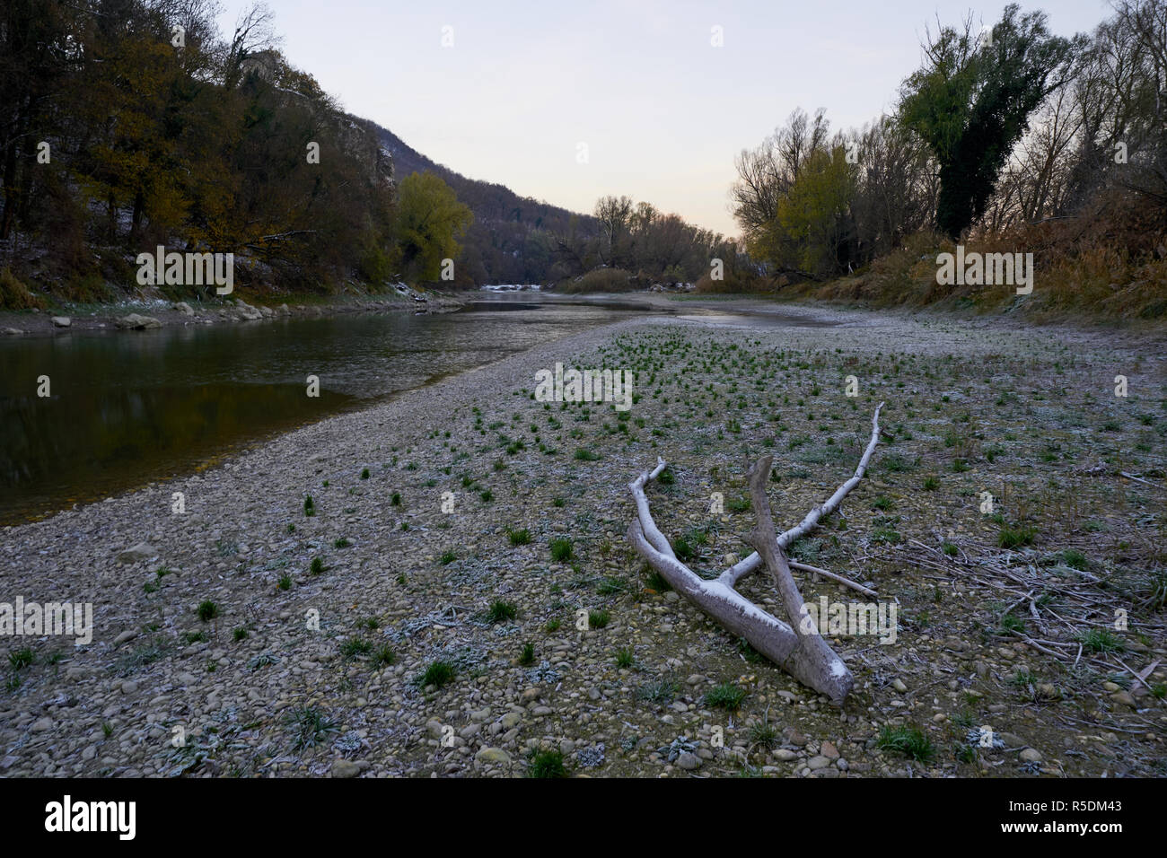Old river and wood Stock Photo - Alamy