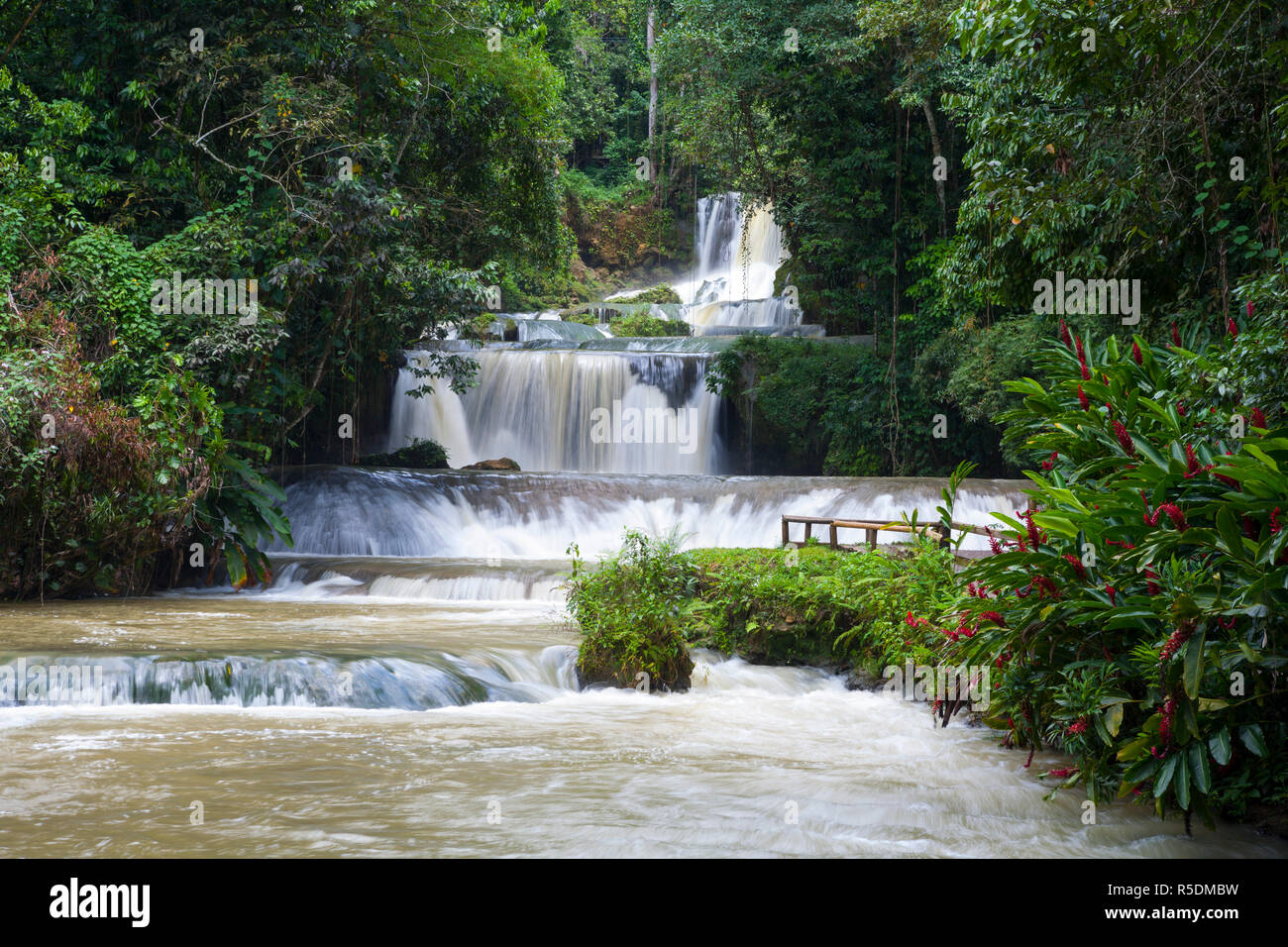 Reach Falls, St. Elizabeth Parish, Jamaica, Caribbean Stock Photo - Alamy