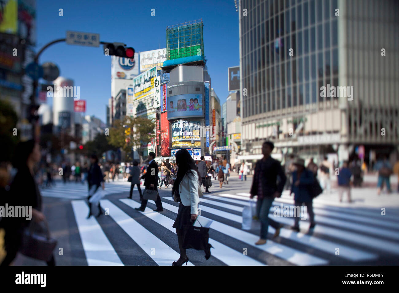 Pedestrian Crossing, Shibuya, Tokyo, Japan Stock Photo - Alamy