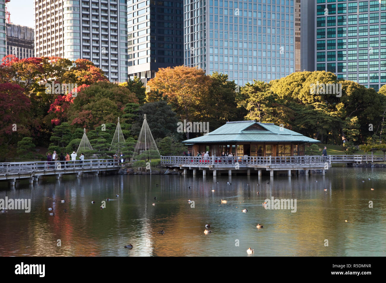 Tea House in the Hama Rikyu Japanese Garden, Shiodome, Tokyo, Japan ...