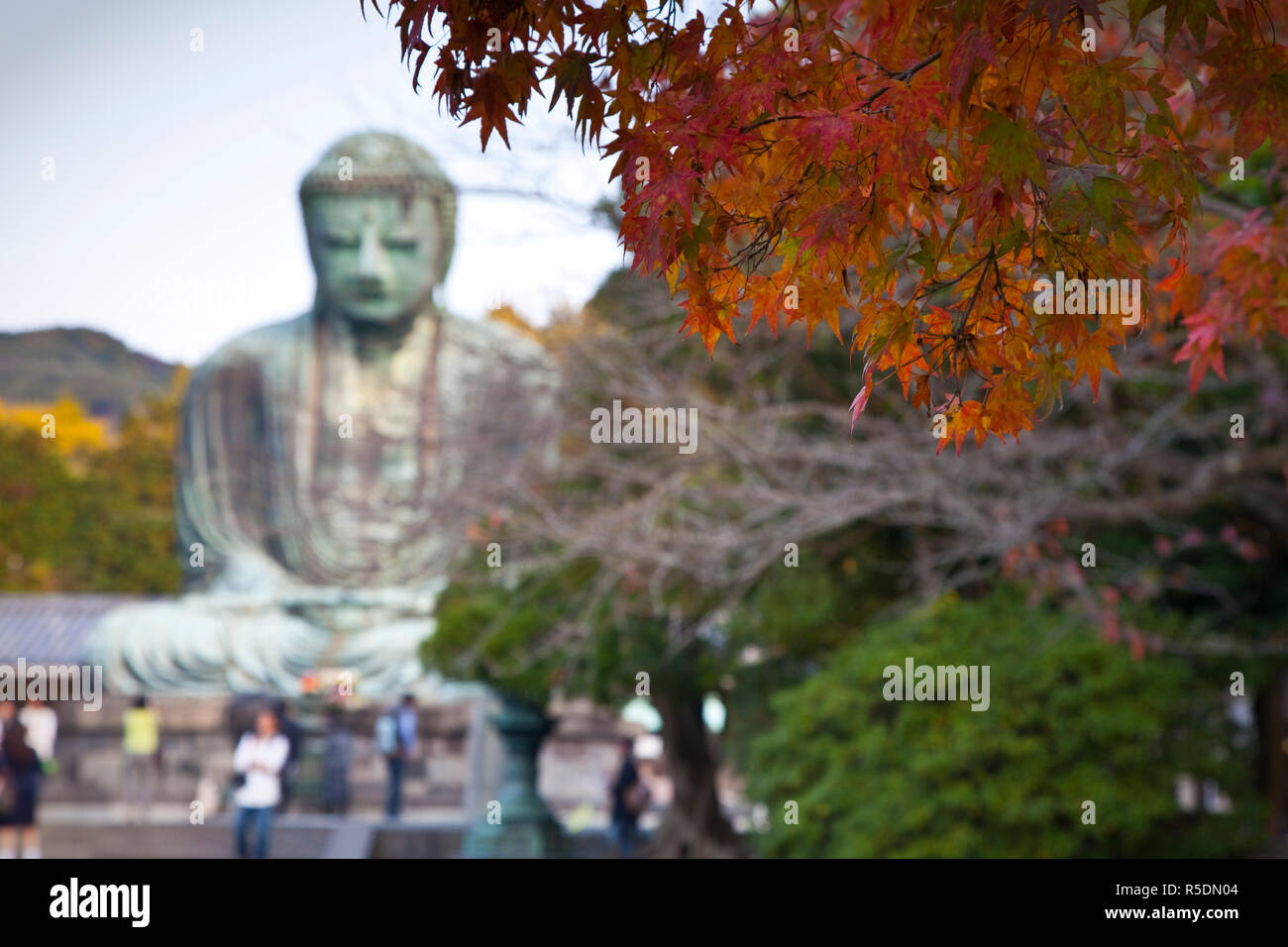 Great Buddha (Daibutsu), Kamakura, Tokyo, Japan Stock Photo - Alamy