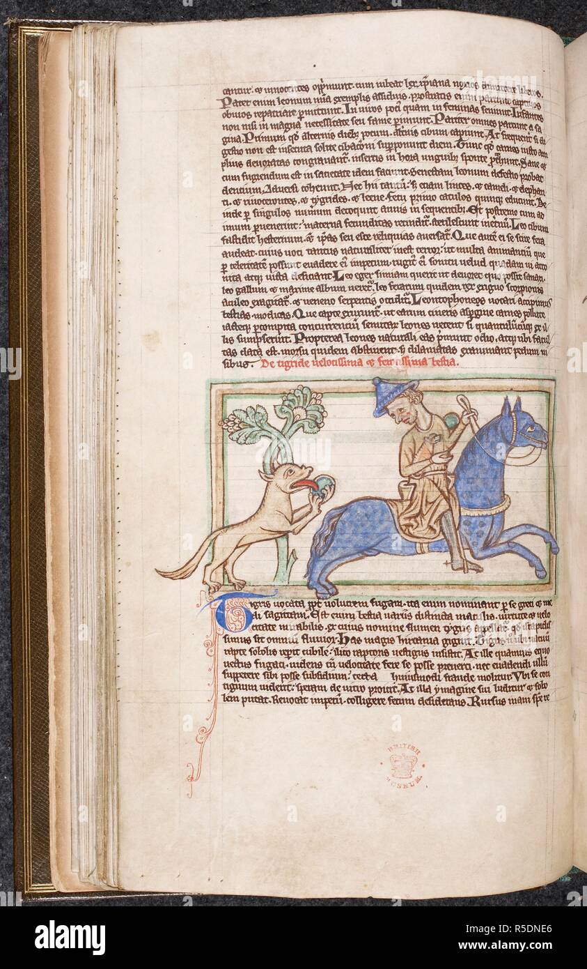 Miniature depicting a man riding away on a horse with a tiger cub ...