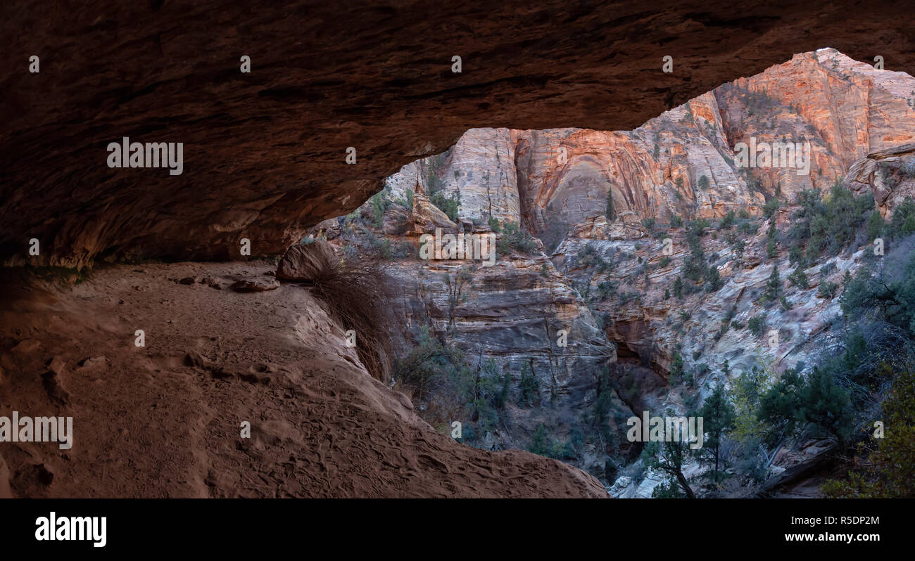 Hiking Trail inside a cave in the Canyon. Taken in Zion National Park ...