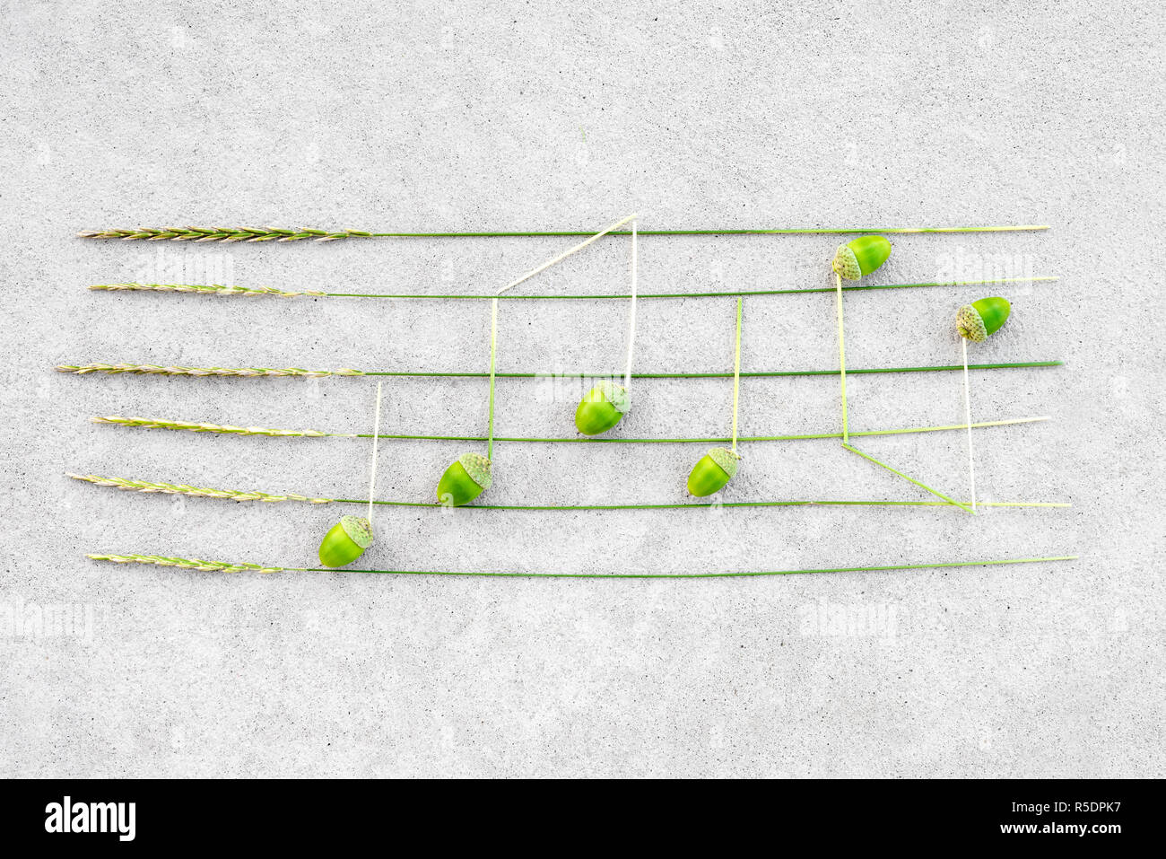 Sounds of nature. Music notes made of green acorns and wild grass, on ...