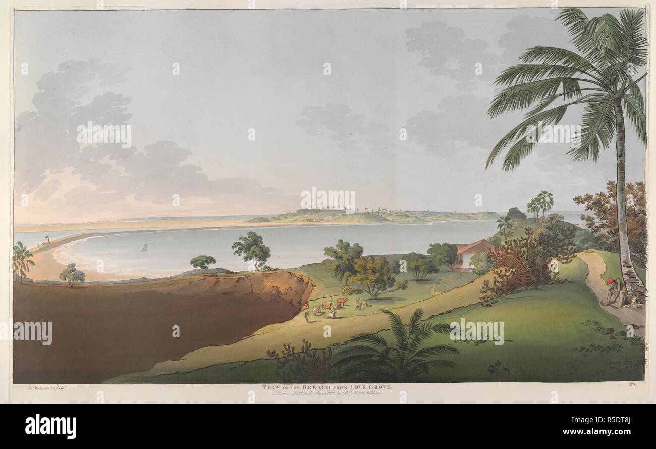 Cribb island hi-res stock photography and images - Alamy