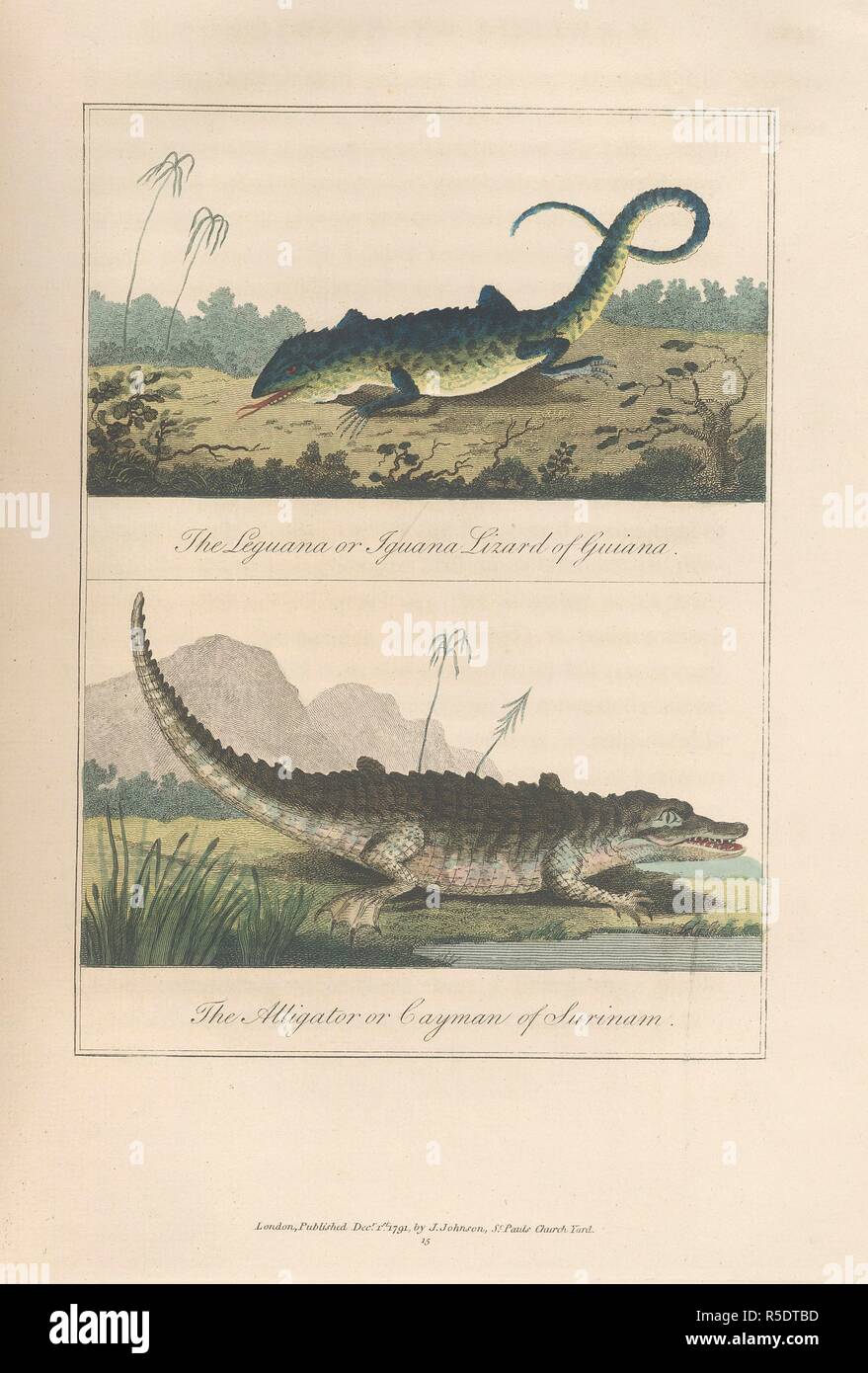 Captain john gabriel stedman hi-res stock photography and images - Alamy