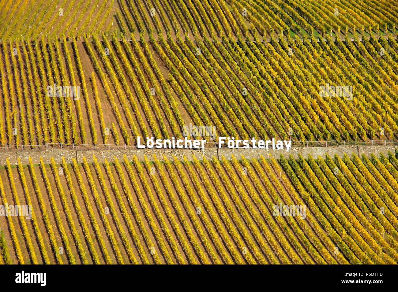 soluble forest rangerlayrn Stock Photo - Alamy