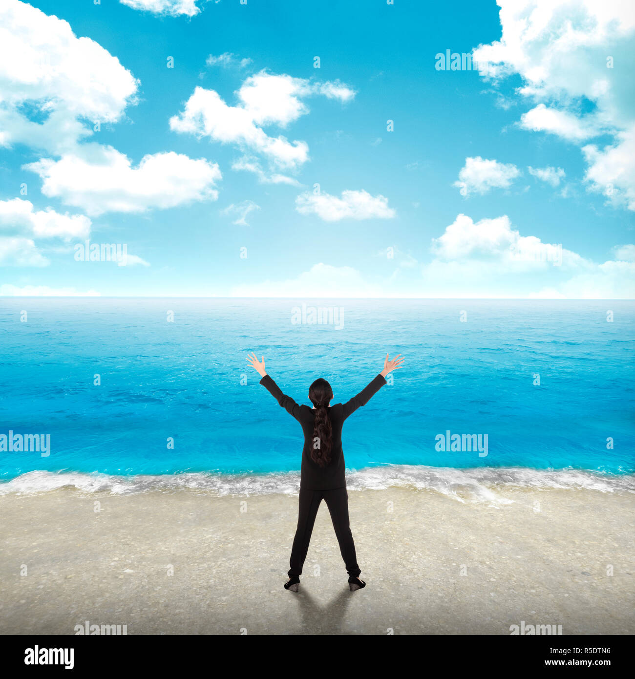 Successful business woman on the beach Stock Photo - Alamy