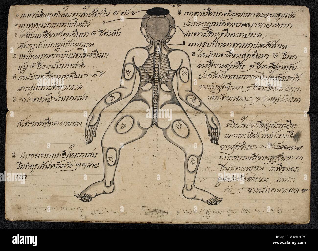 Thai medical diagram showing the pressure points on a Human body ...