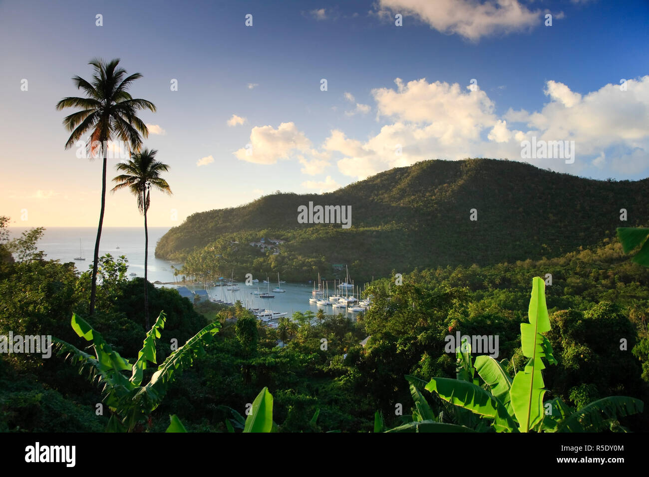 Caribbean, St Lucia, Marigot Bay and Harbour Stock Photo - Alamy
