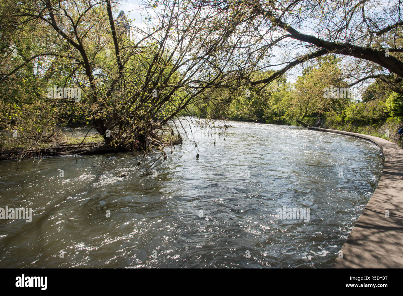 West branch of flowing DuPage River with greenery by the downtown ...