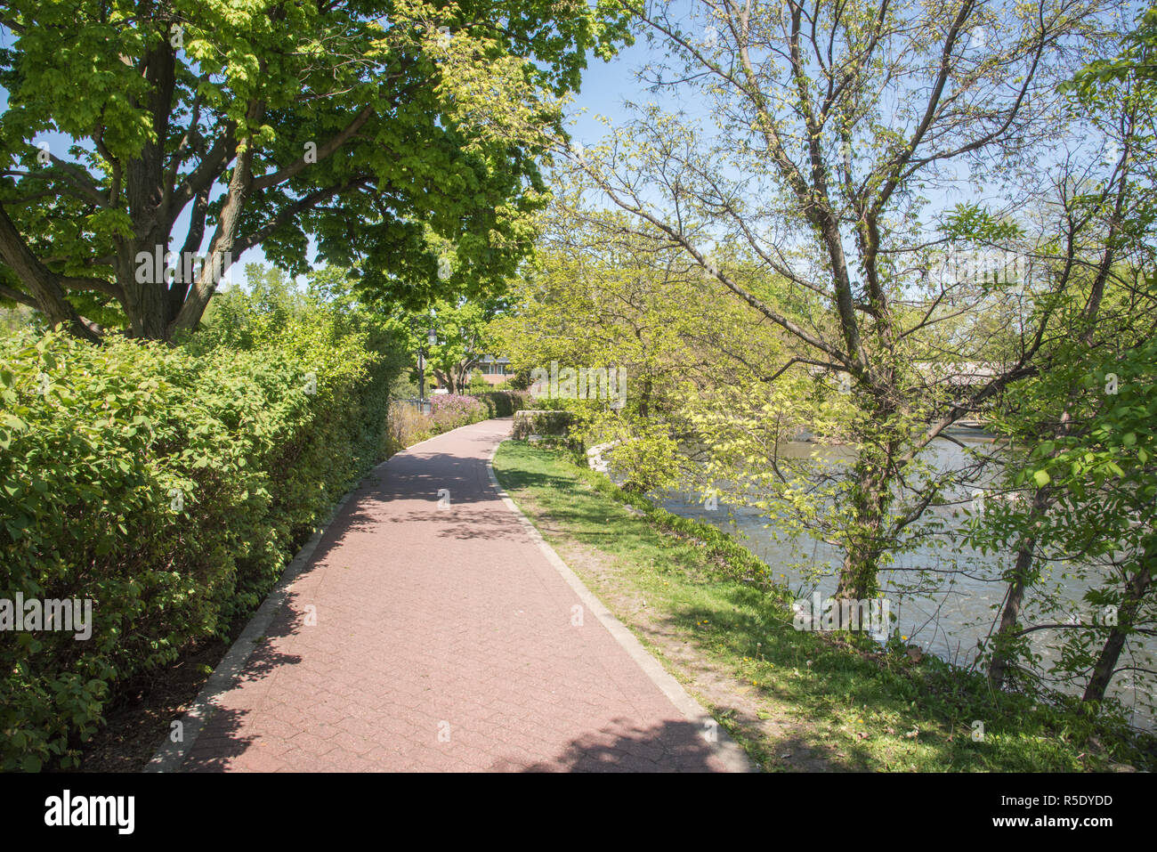 Brick footpath, Riverwalk, with greenery along the DuPage River the downtown Riverwalk in ...