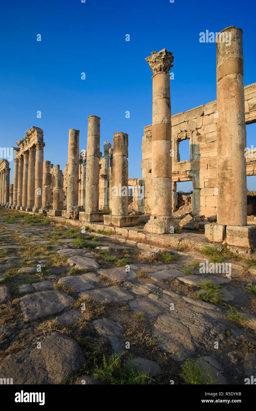 Syria, Apamea (Afamia) Archaeological Site (founded 3rd Century BC ...