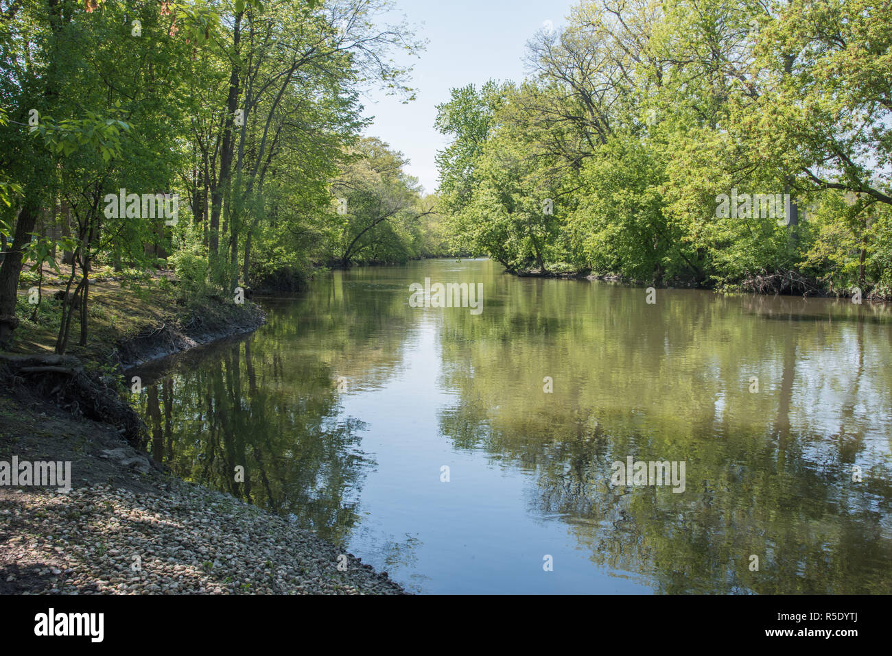 West branch of the DuPage River with lush greenery by the downtown ...