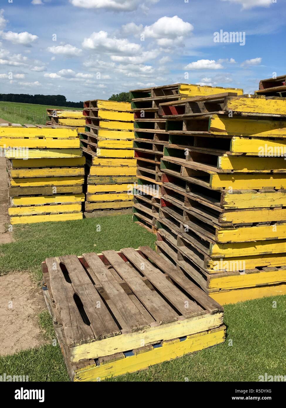 several stacks of yellow wooden pallets for the transport of rolling ...