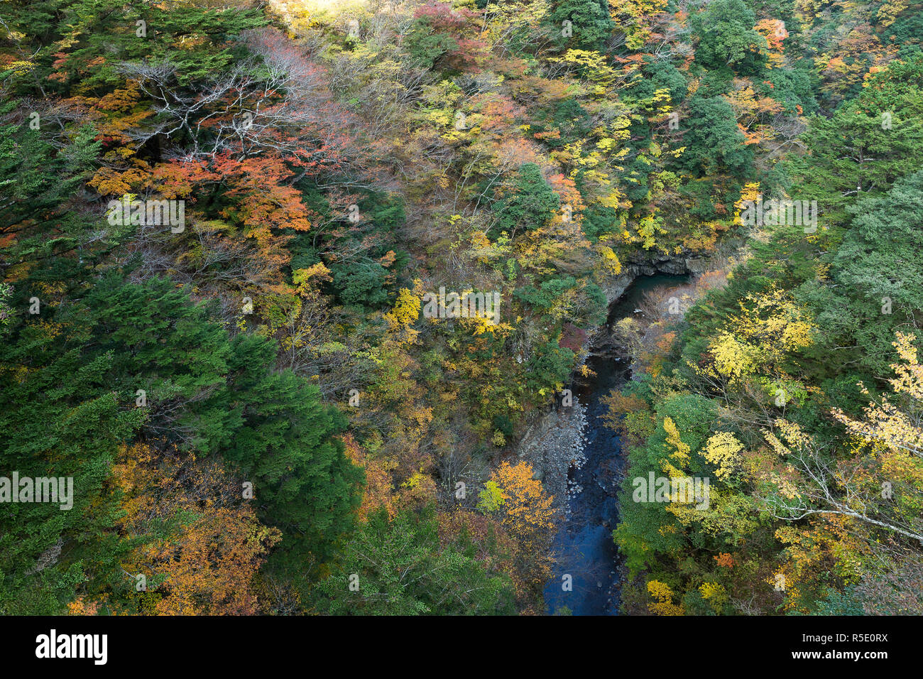 Natural landscape in autumn Stock Photo - Alamy