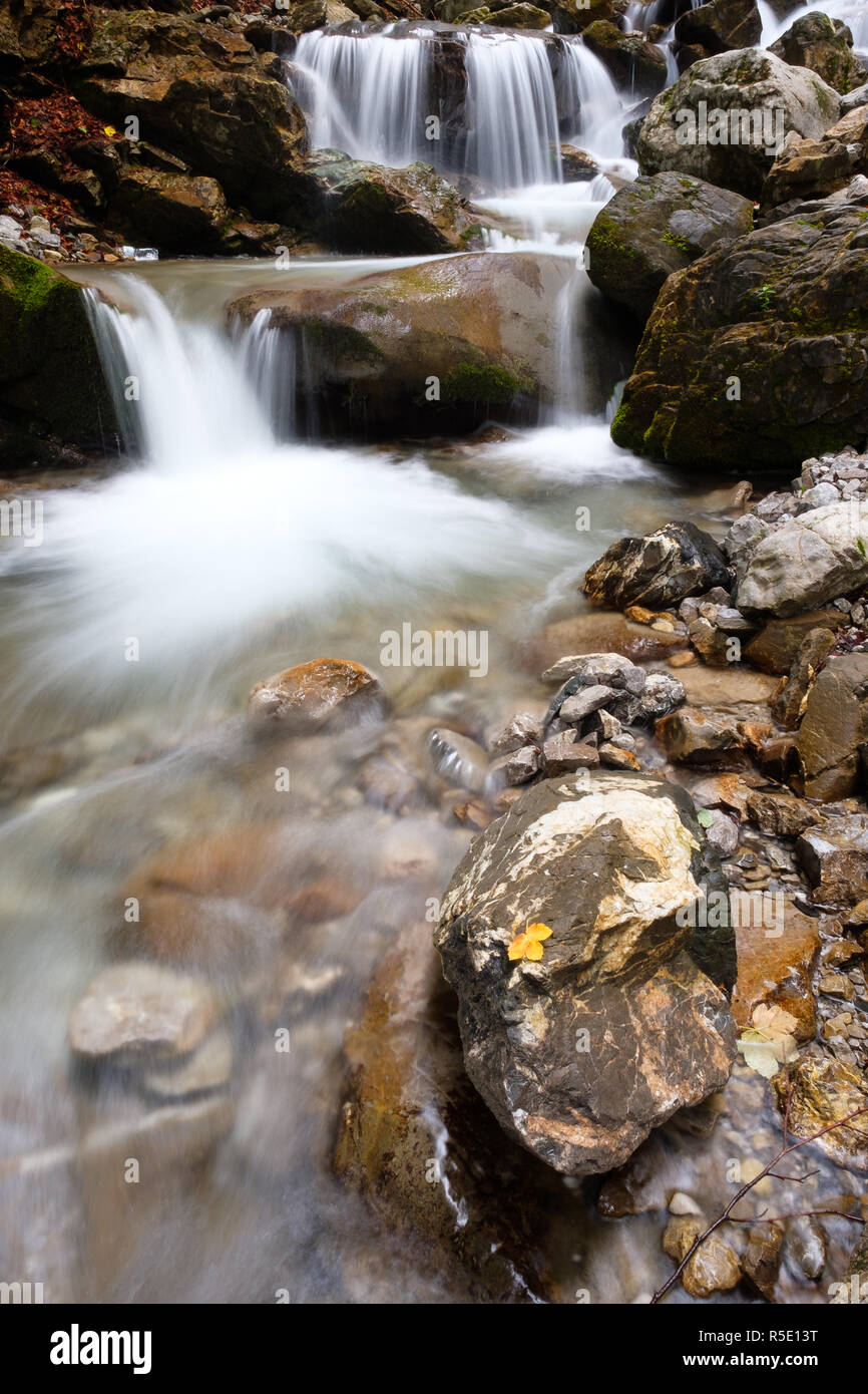 Faltenbachtobel hi-res stock photography and images - Alamy