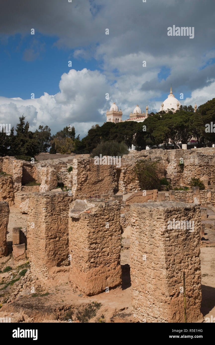 Tunisia ancient carthage byrsa hill hi-res stock photography and images ...