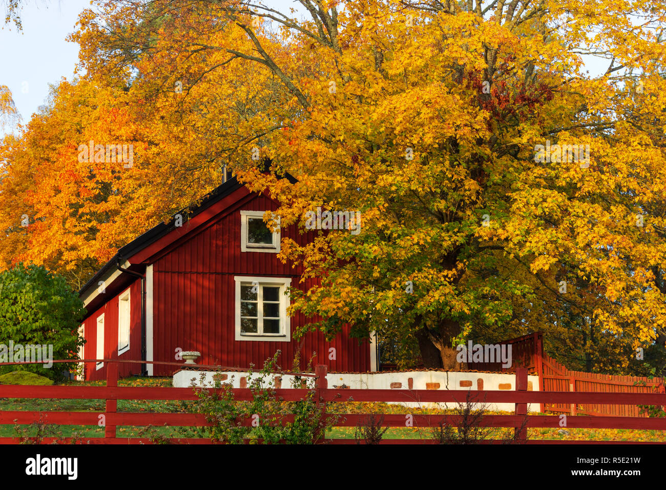 Traditional red farm house in Sigtuna's countryside, Marsta, Sweden ...