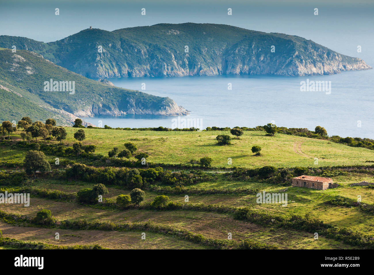 France, Corsica, Corse-du-Sud Department, Calanche Region, Piana ...