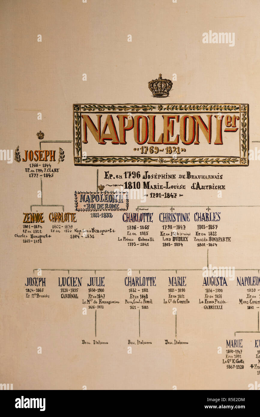 Bonaparte family tree hi-res stock photography and images - Alamy