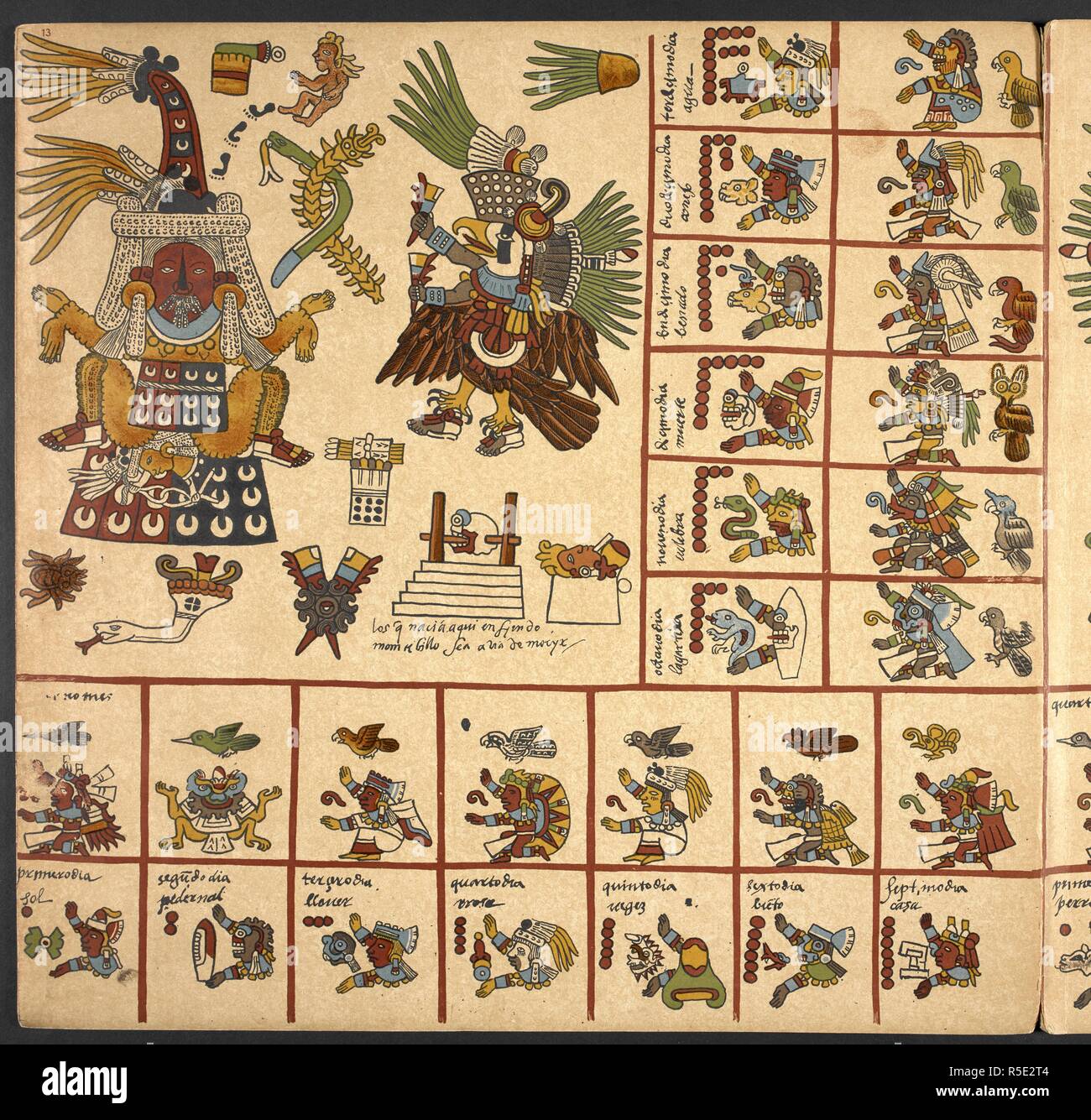 Codex borbonicus hi-res stock photography and images - Alamy