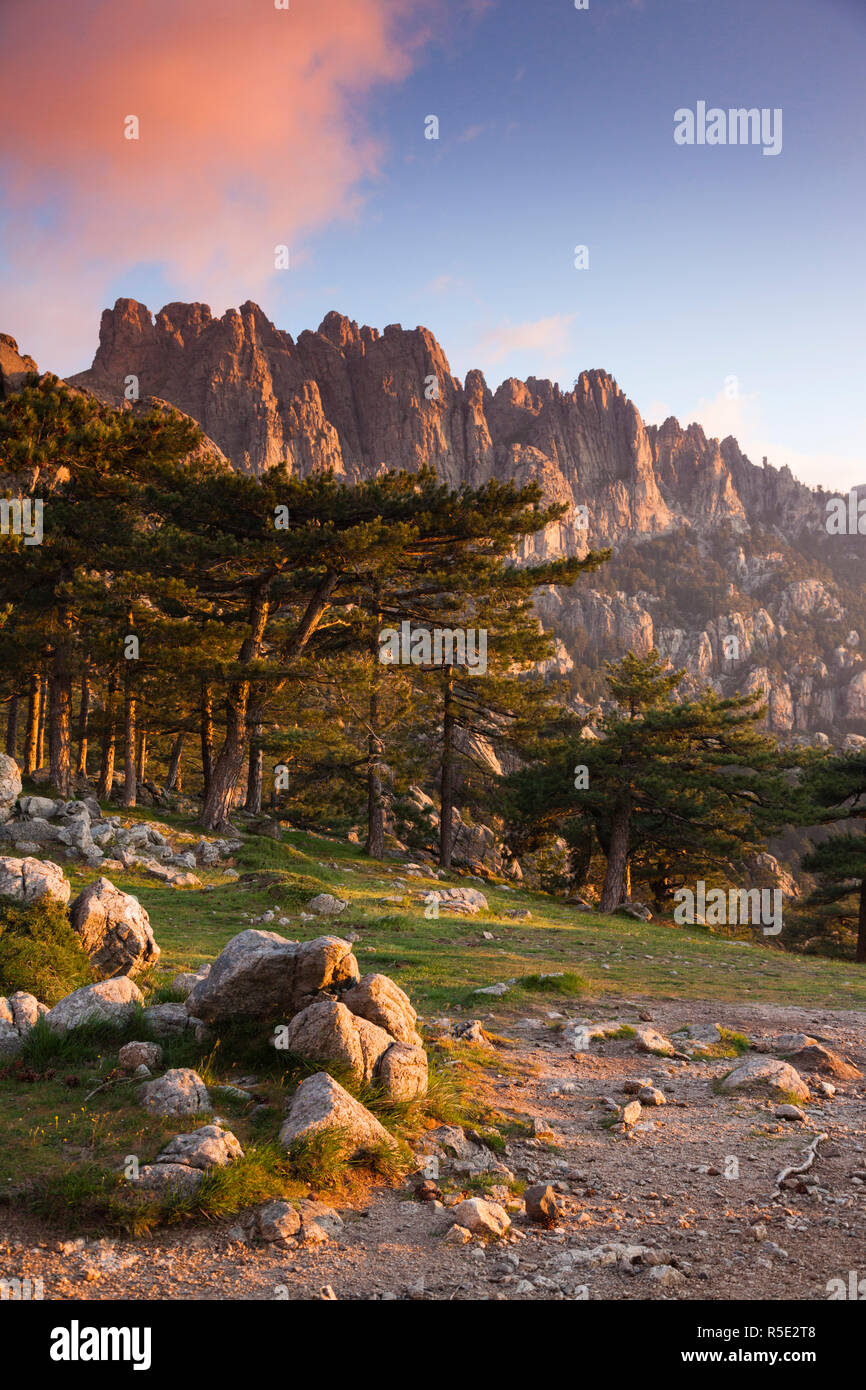 France, Corsica, Corse-du-Sud Department, La Alta Rocca Region, Col de ...
